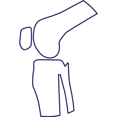 Petterwood Orthopaedics – Orthopaedic surgery practice based in Hobart ...